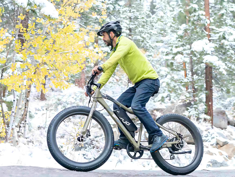 Emojo Wildcat Pro – ElectricBikesUSA